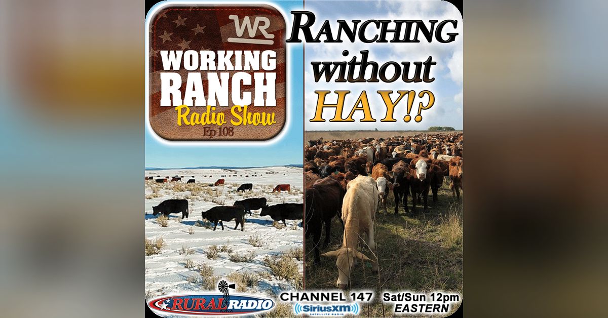 Ep 108: Ranching Without HAY!? | Working Ranch Radio Show