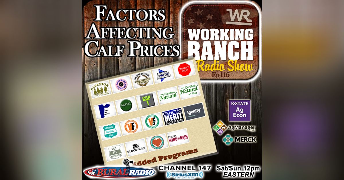Ep 116: Animal and Program Factors Affecting Calf Prices | Working ...