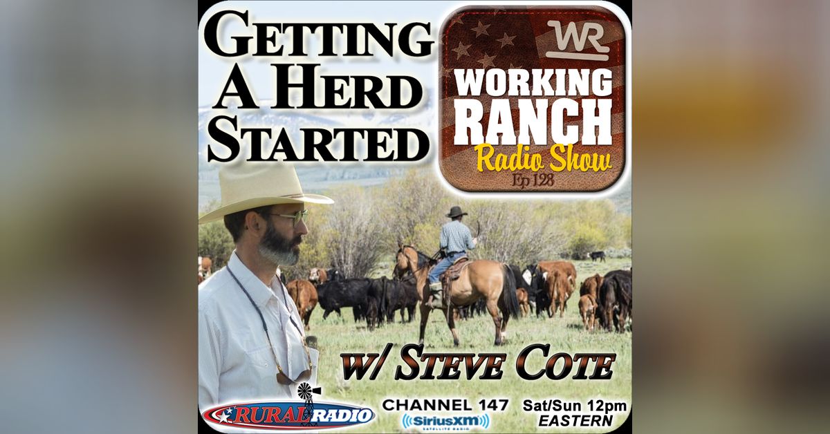 Ep 128: Stockmanship w Steve Cote… Getting a Herd Started Correctly ...