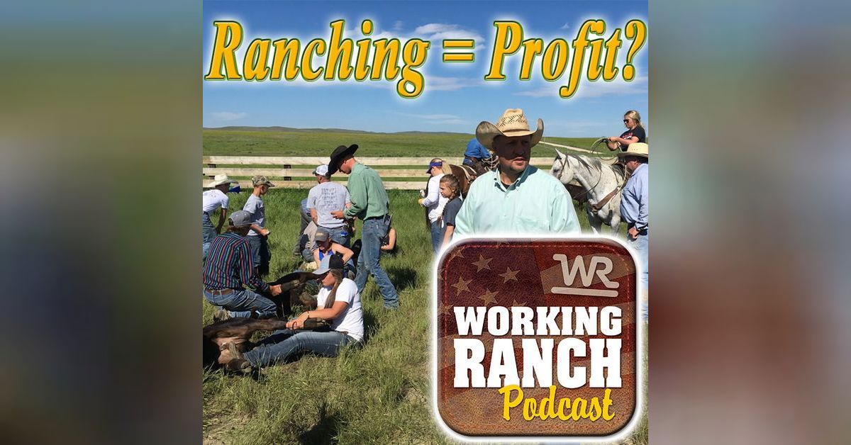 Ep 12: Are "Ranching" and "Profit" contradicting terms? | Working Ranch ...