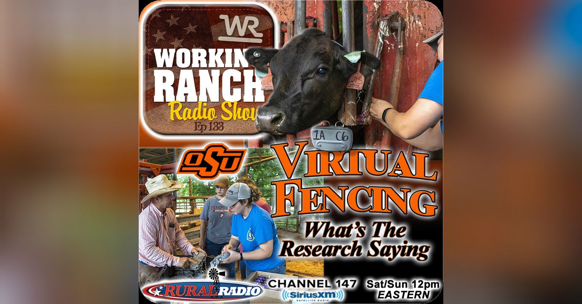 Ep 133: Virtual Fencing – What’s The Research Saying | Working Ranch ...