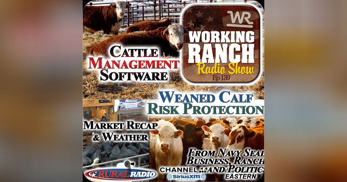 Ep 139: Topics: Cattle Management Software, New Insurance Option for ...