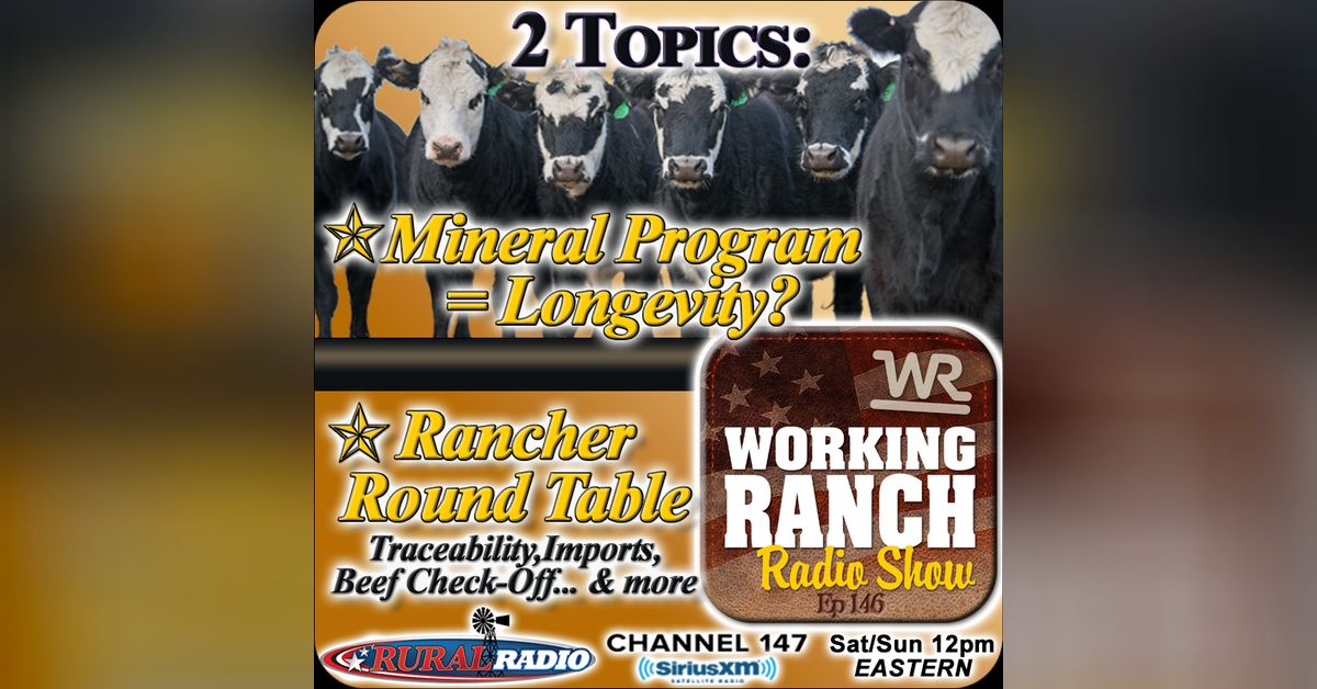 Ep 146: Two Interviews... Mineral Program Equals Longevity & Rancher ...