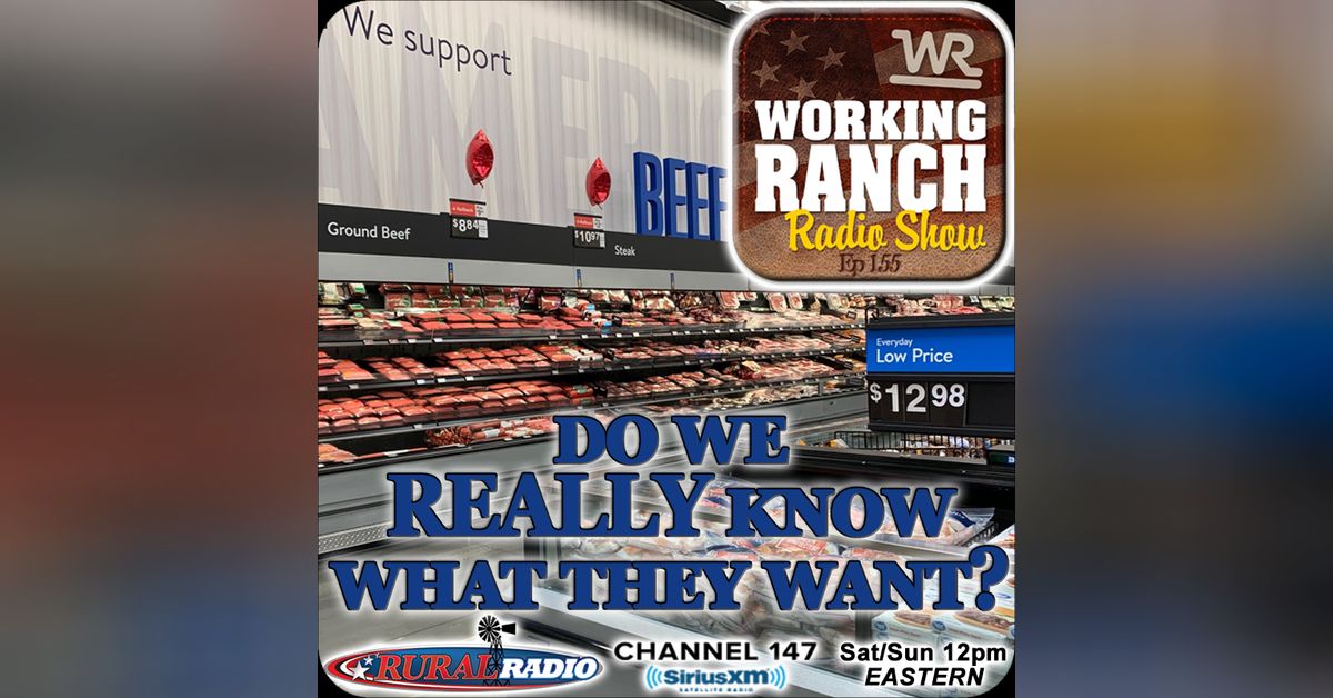 Ep 155: Do WE really know what THEY want? w/ Lamar Steiger | Working ...