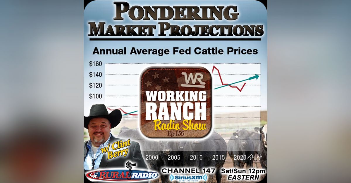 Ep 156: Pondering Over the 2024 Cattle Market Projections w Clint Berry ...