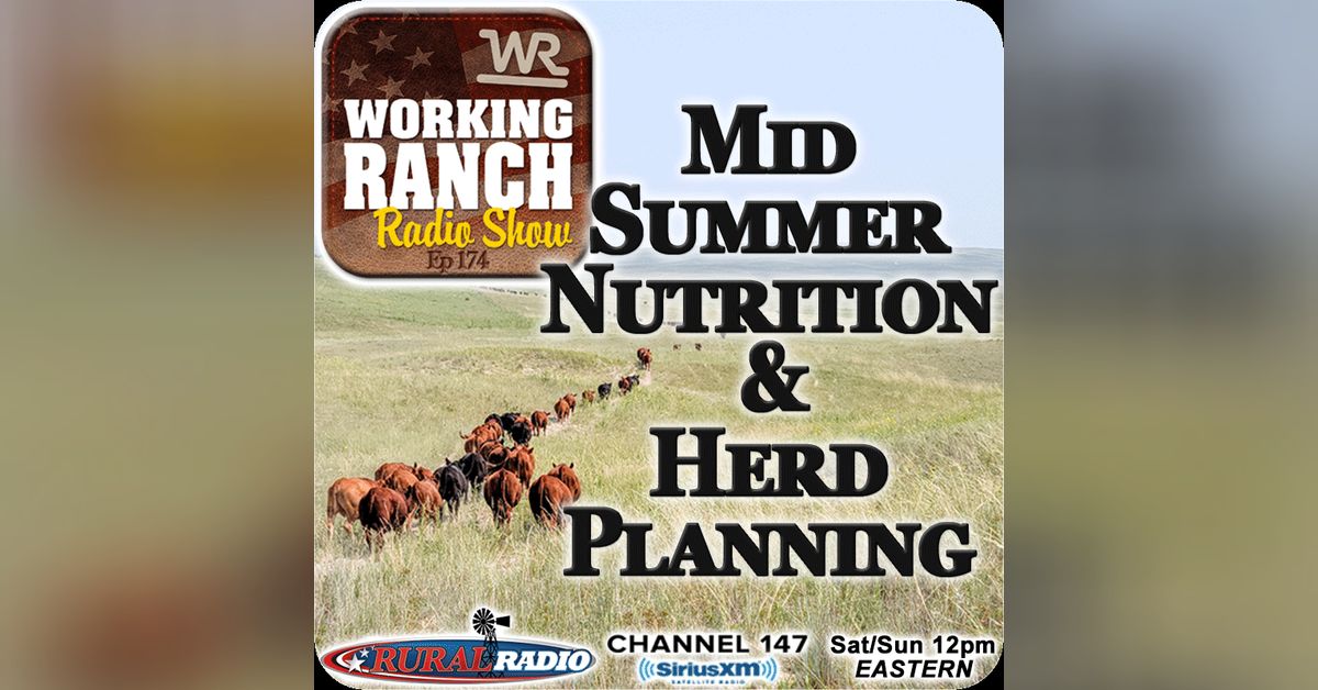Ep 174: Mid-Summer Nutrition & Cow Herd Planning | Working Ranch Radio Show