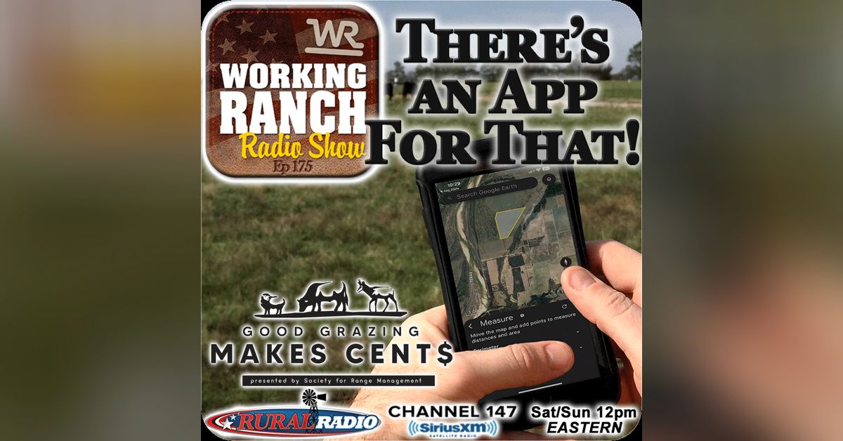 Ep 175: There’s An App For That w Dave Voth | Working Ranch Radio Show