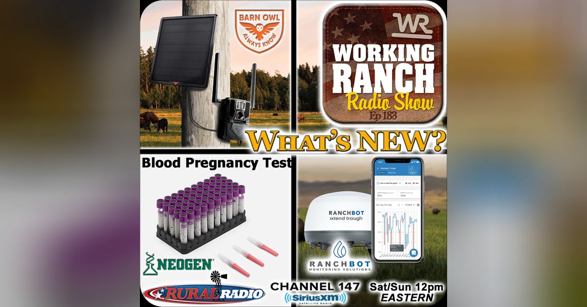 Ep 183: What’s New? Three Products I Have Questions About | Working ...