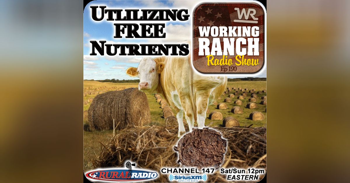 Ep 190: Utilizing the FREE Nutrients From the South End of a Northbound ...