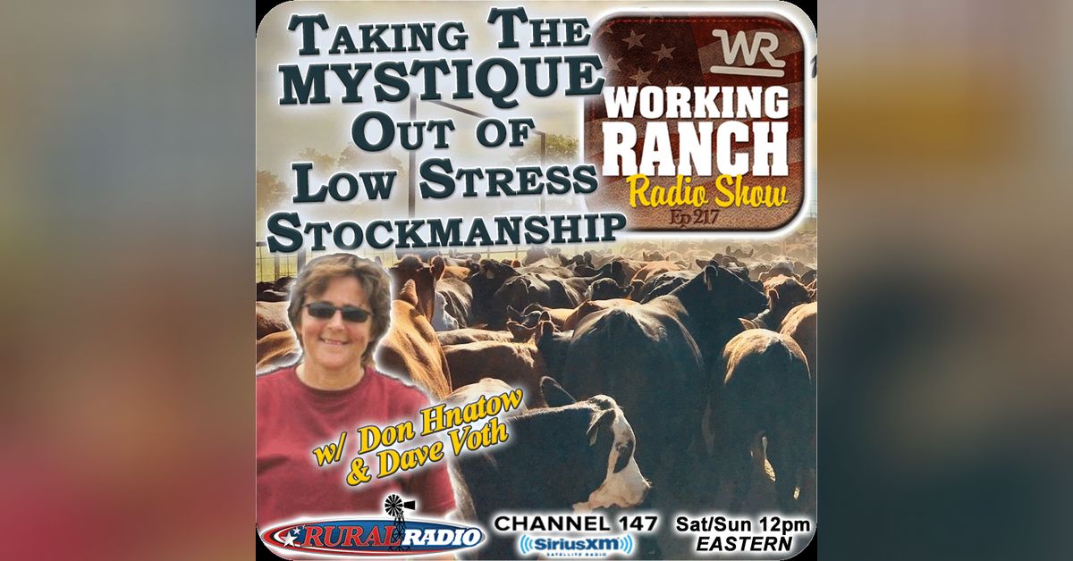 Ep 217: Taking The Mystique Out of Low Stress Stockmanship w Dawn Hnatow | Working Ranch Radio Show