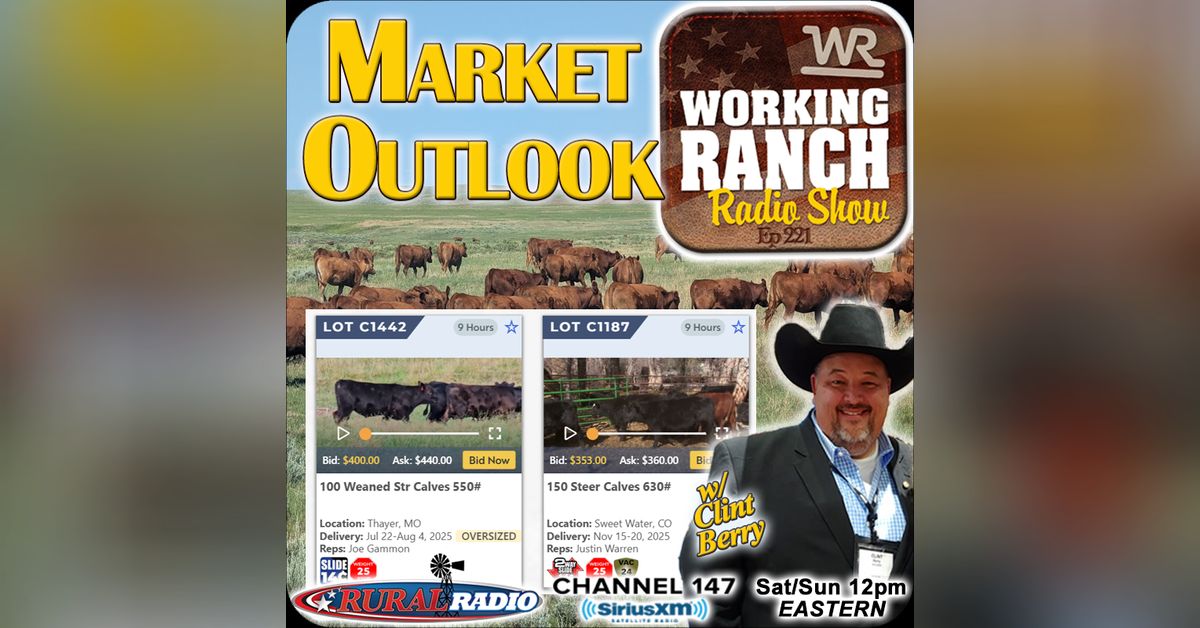 Ep 221: Week in the Rockies Recap: Key Takeaways & Market Outlook w ...