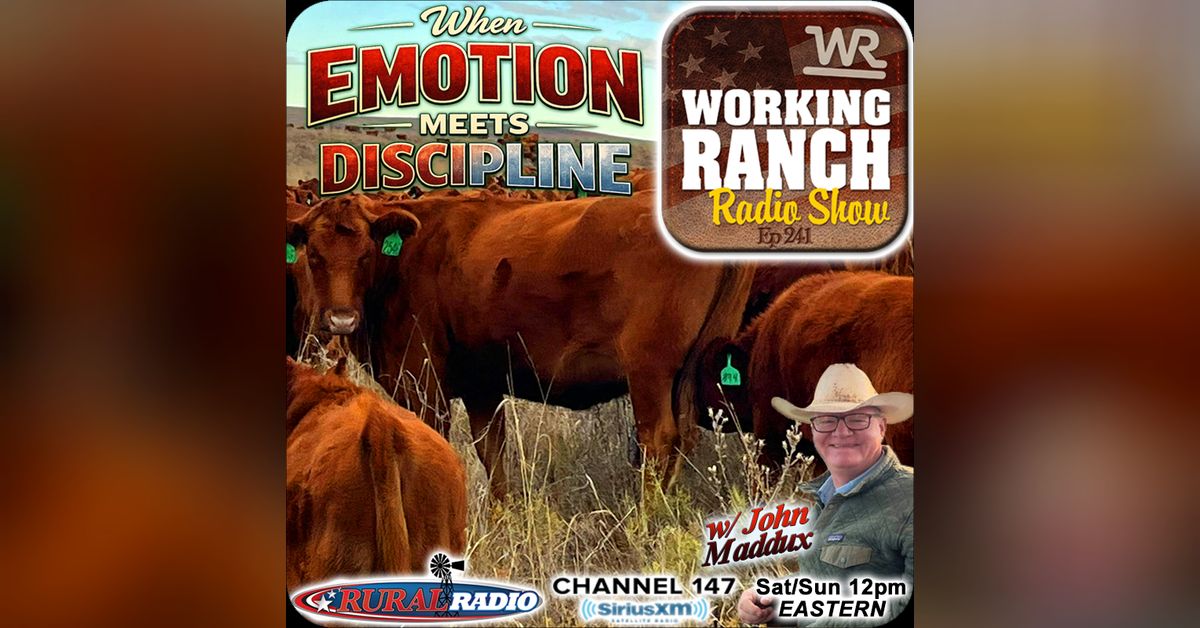 Ep 241: When Emotion Meets Discipline in the Cow Herd w/ John Maddux ...