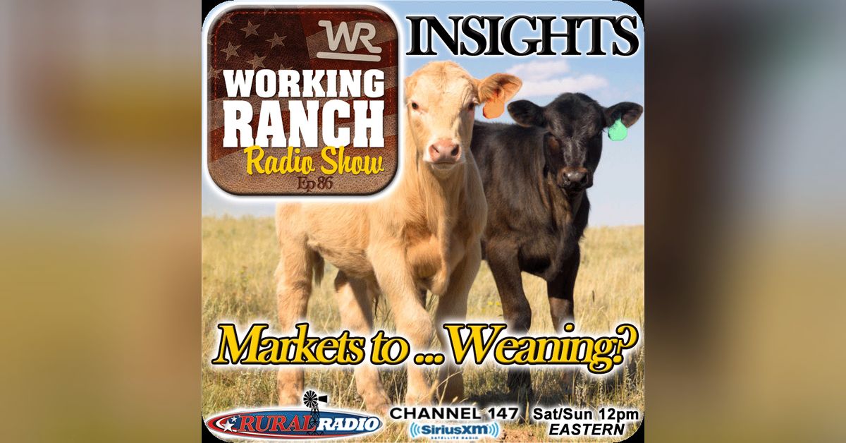 Ep 86: Insights: From Markets to… Weaning? | Working Ranch Radio Show