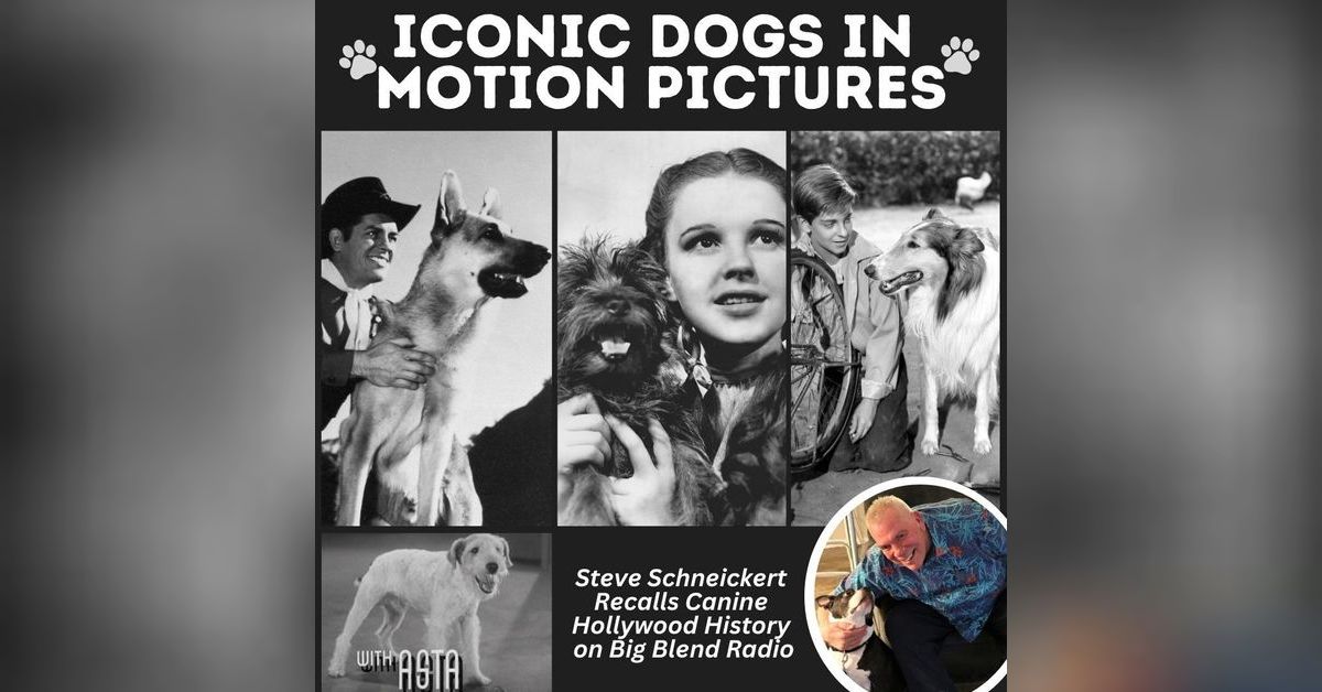 Steve Schneickert - Iconic Dogs in Motion Pictures | Big Blend Radio