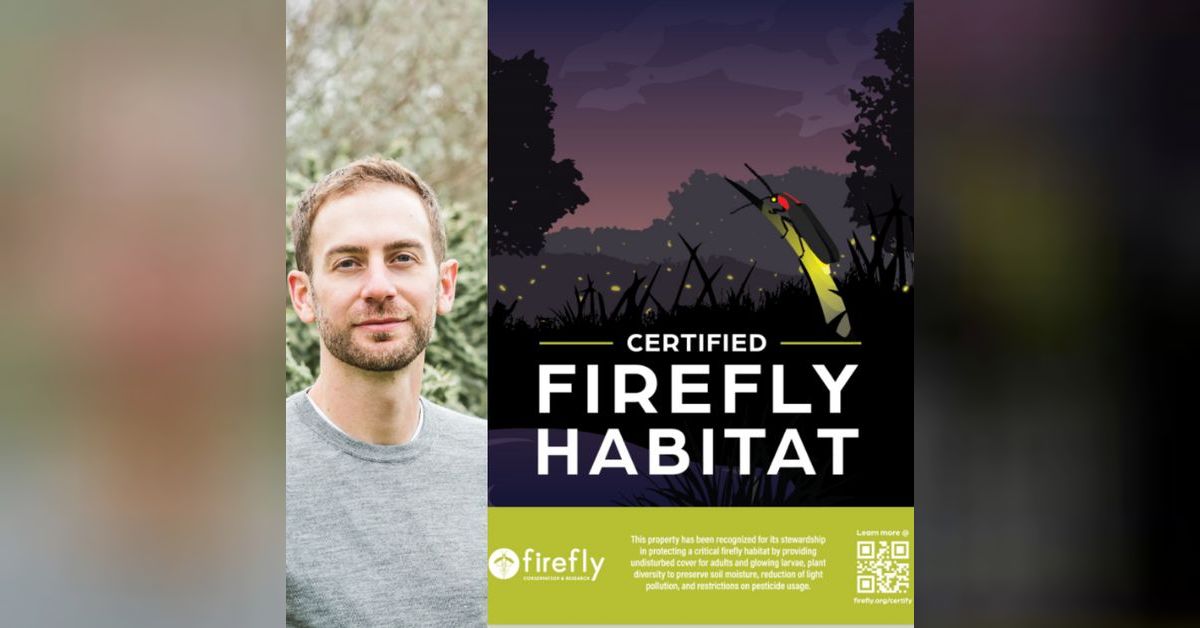 Ben Pfeiffer - Creating a Certified Firefly Habitat | Big Blend Radio