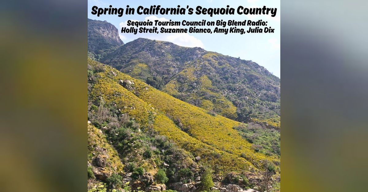Spring in California’s Sequoia Country 2025 | Big Blend Radio