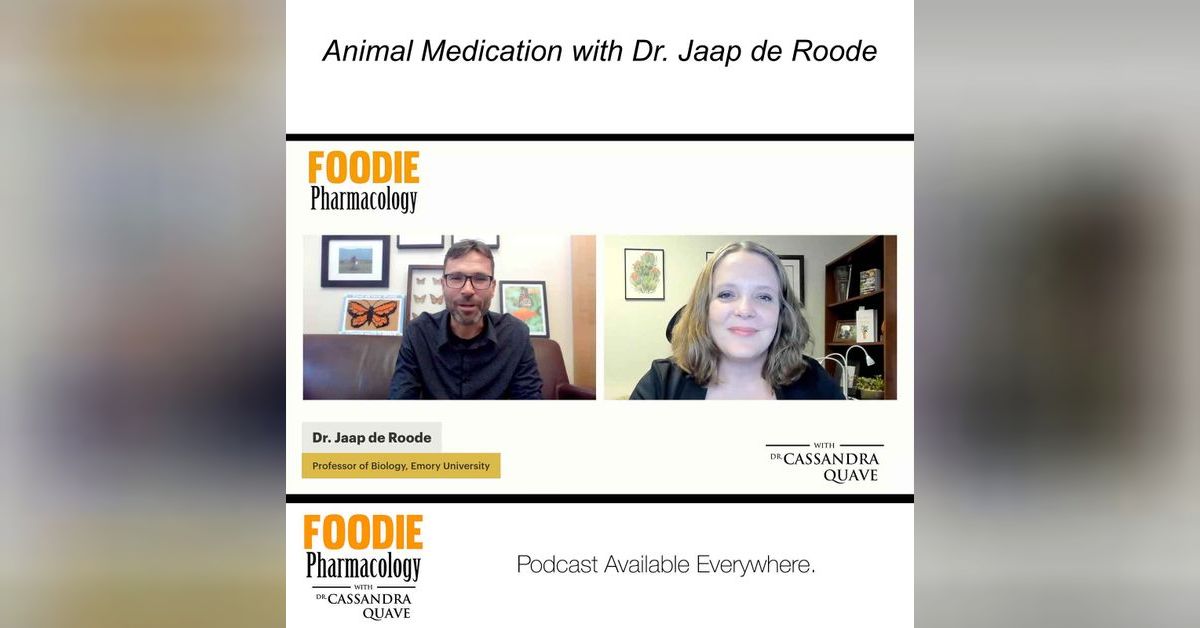 Animal medication with Dr. Jaap de Roode | Foodie Pharmacology Podcast