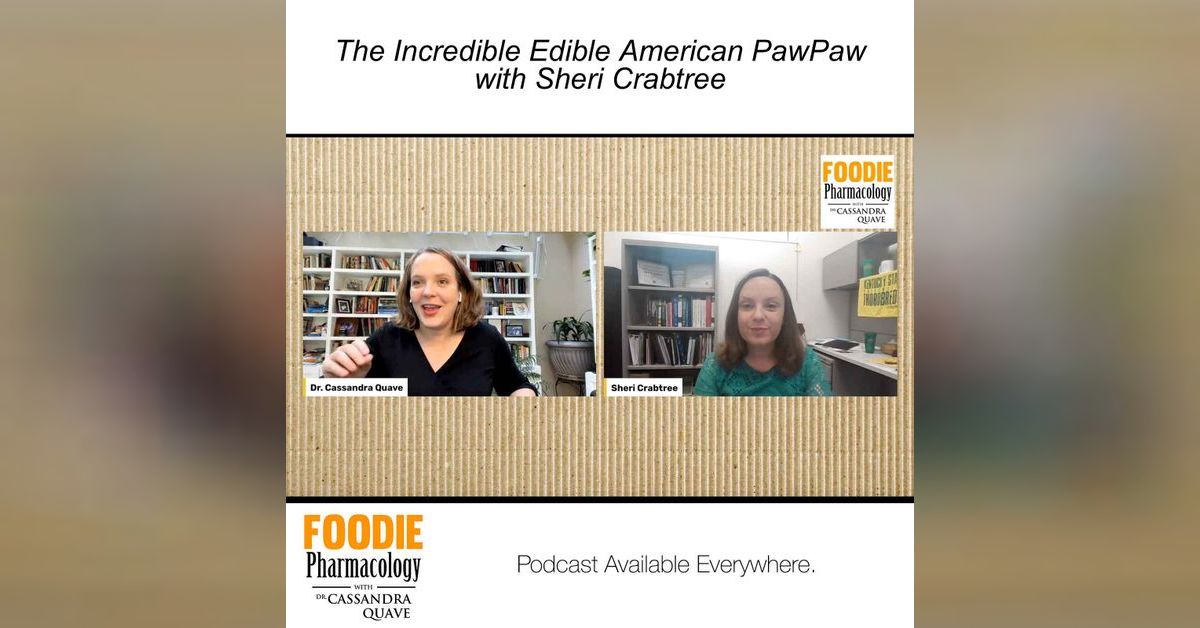 The Incredible Edible American PawPaw with Sheri Crabtree | Foodie ...