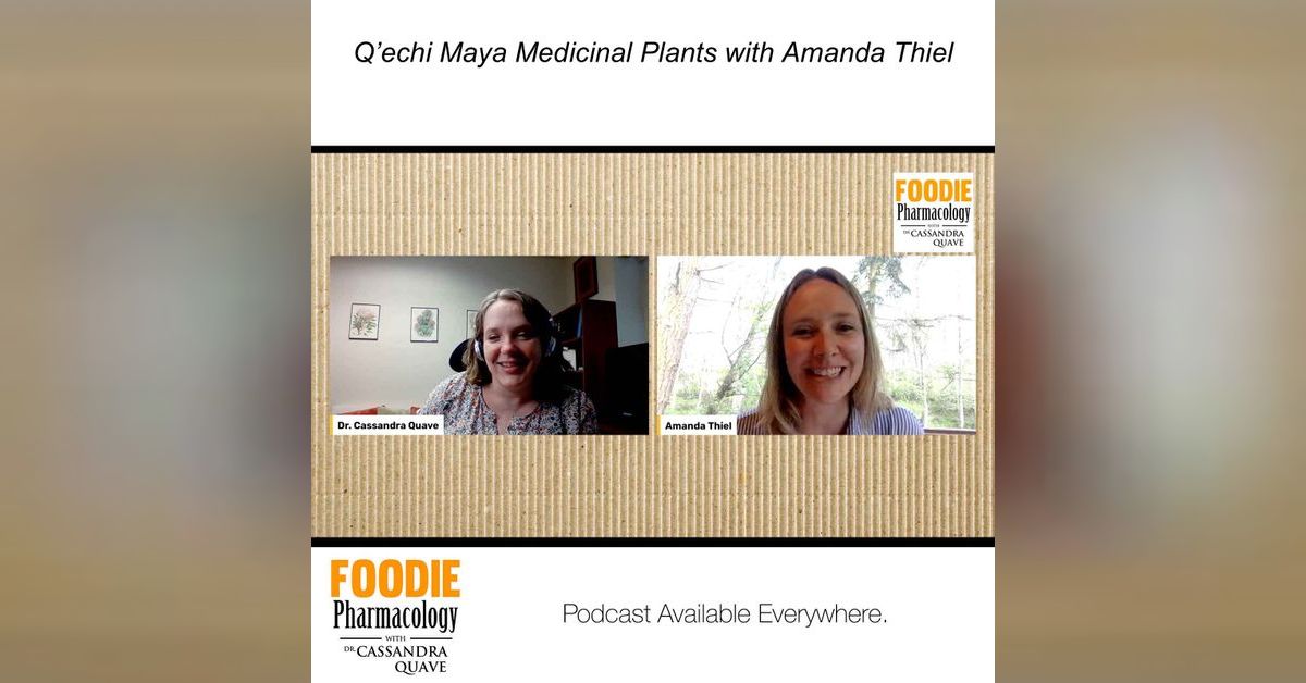 Q’eqchi’ Maya Medicinal Plants with Amanda Thiel | Foodie Pharmacology ...