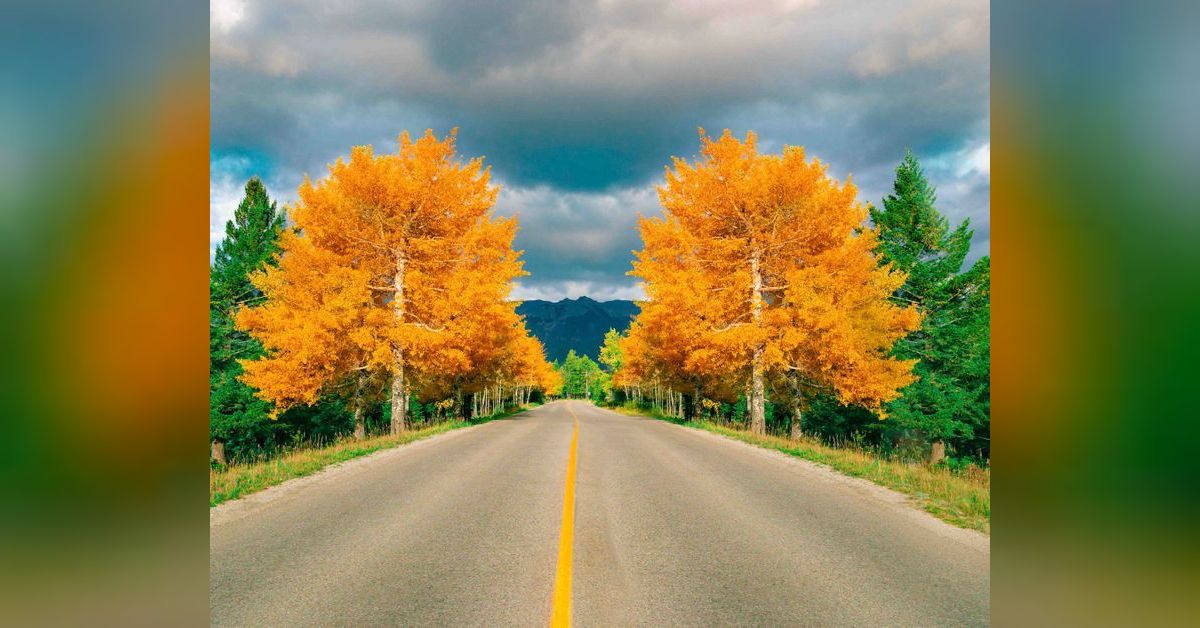 Faith Series Part 6: Worshipping by Faith | The Pathway To Purity & Power