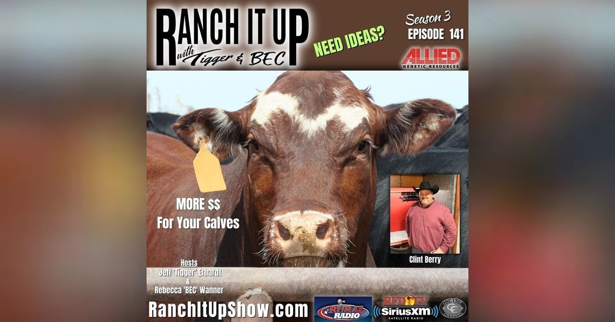 Idea’s On How To Get The Most For Your Calves! | Ranch It Up Radio Show ...