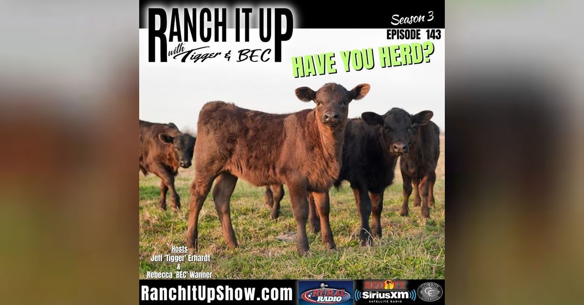 Here Is The Latest Cattle News And Market Reports | Ranch It Up Radio ...