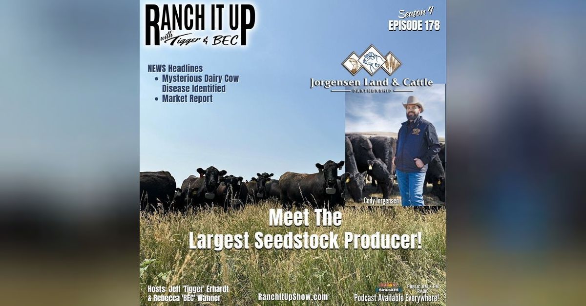 Mysterious Dairy Cow Disease Identified & Jorgensen Land & Cattle ...