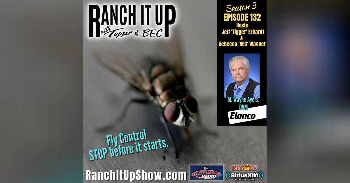 Fly Control - How To Stop Flies Now | Ranch It Up Radio Show & Podcast