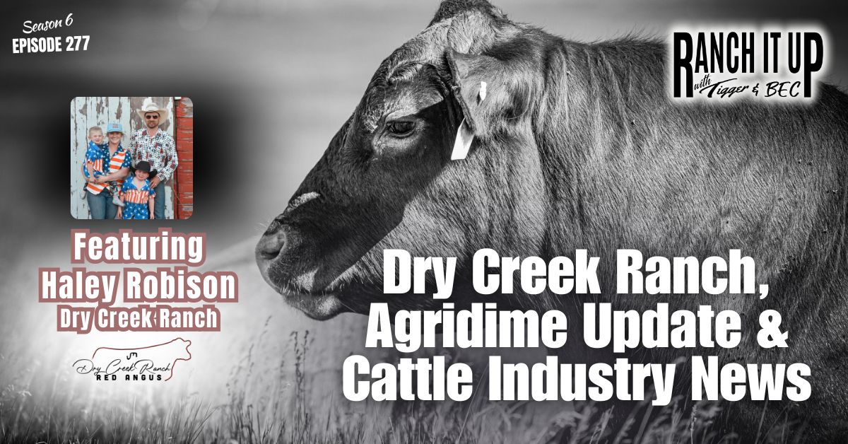 Dry Creek Ranch, Agridime Update & Cattle Industry News | Ranch It Up ...