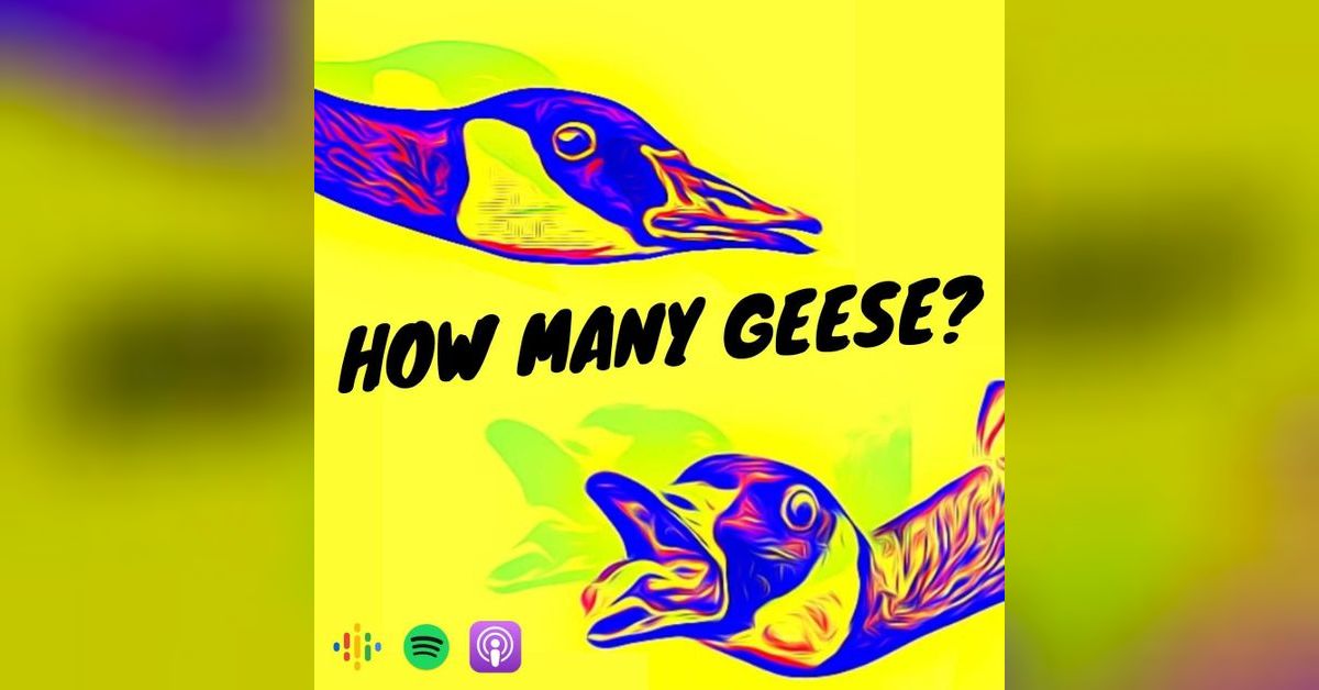 History made goose | How many geese?