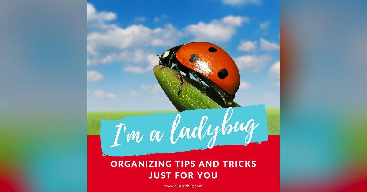 I’m a Ladybug - Organizing Tips and Tricks - What ClutterBug are You ...