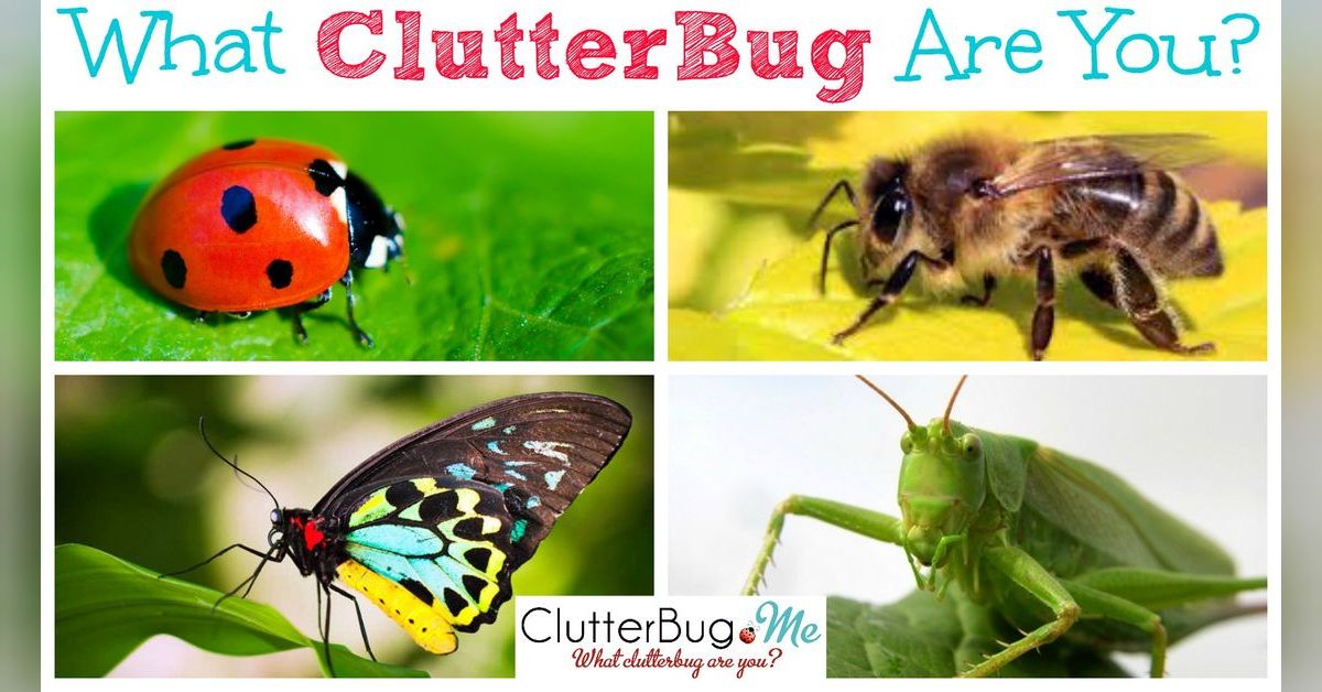 What ClutterBug Are You? Learn Your Organizing Style | Clutterbug ...