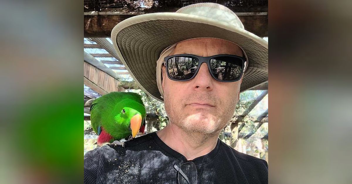 Freedomain Live #1: Dave Rubin and Joe Rogan | Freedomain Live Podcast