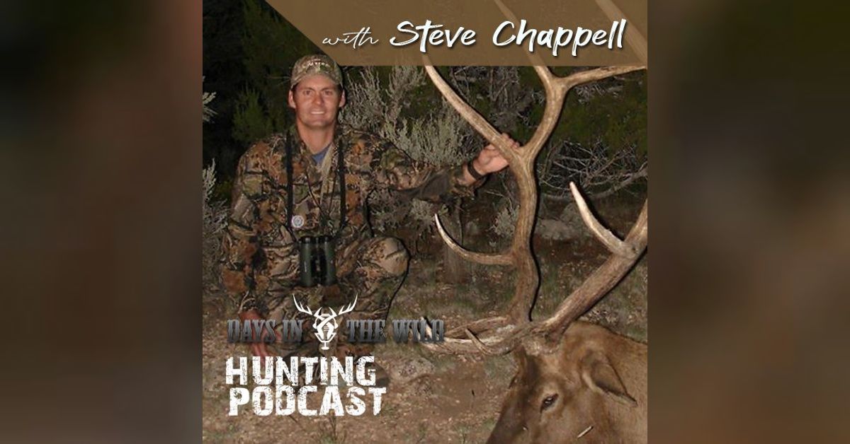 Arizona Elk Hunting Scenarios with Steve Chappell Part 1 - 11.34 | Days ...