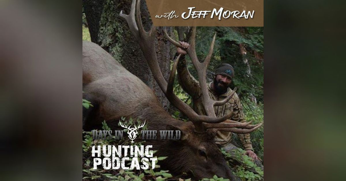 Elk Hunting with Jeff Moran | Days In The Wild - Big game Hunting podcast