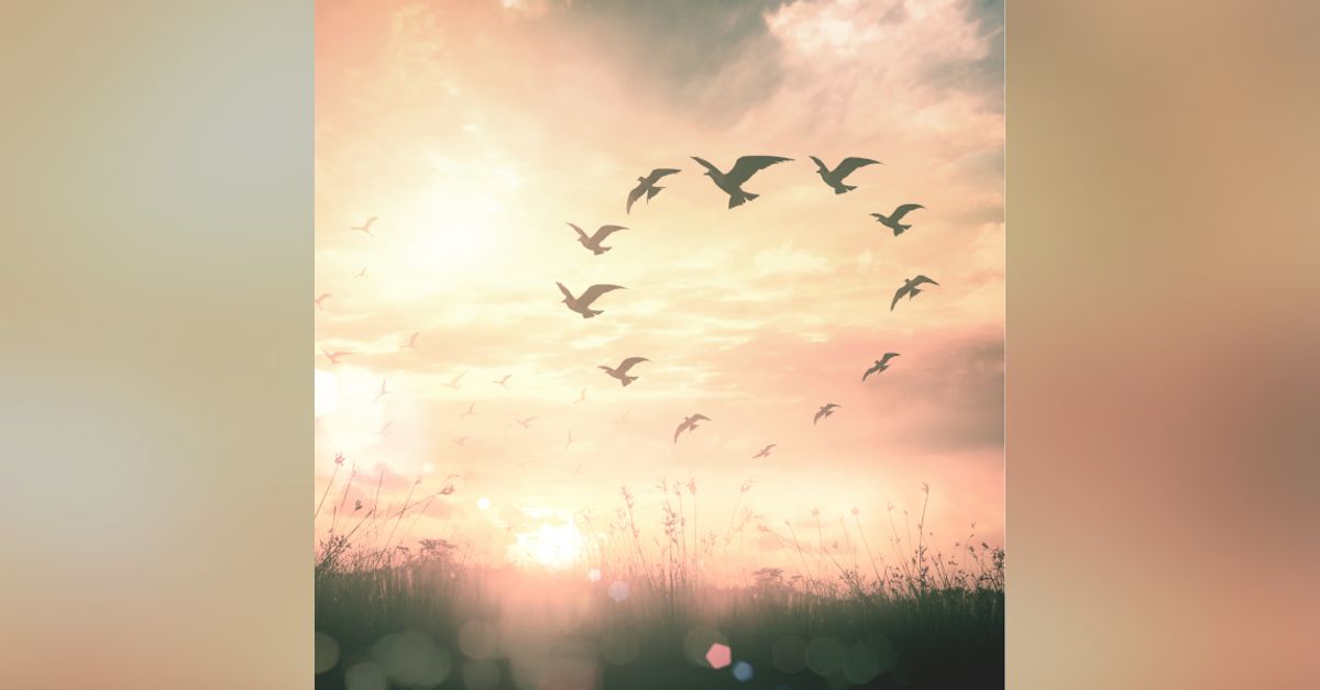 Looking For Unity – 05 | Upper Room Christian Assembly