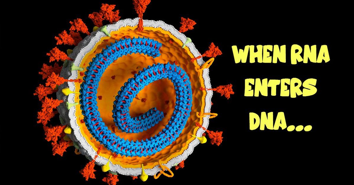 When RNA enters DNA... | David Vance Podcast