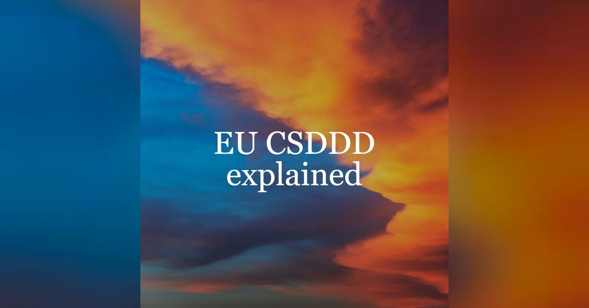 CSDDD explained: due diligence requirements // EU CSDDD explained | The ... CSDDD explained: due diligence requirements // EU CSDDD explained | The ...