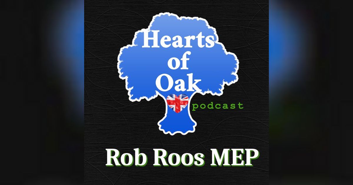 Rob Roos MEP - Dutch Courage: A Maverick's Path in European Politics ...
