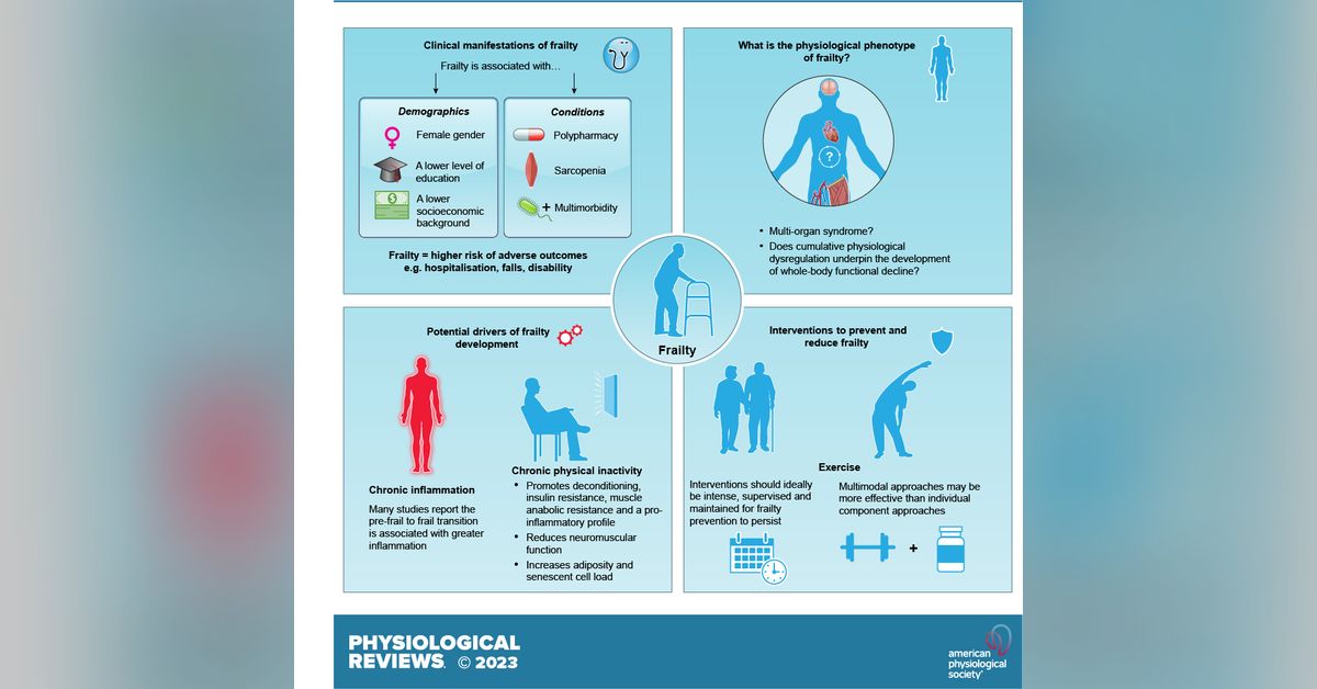 Human Frailty and Its Modulation by Physical Activity | Physiological ...