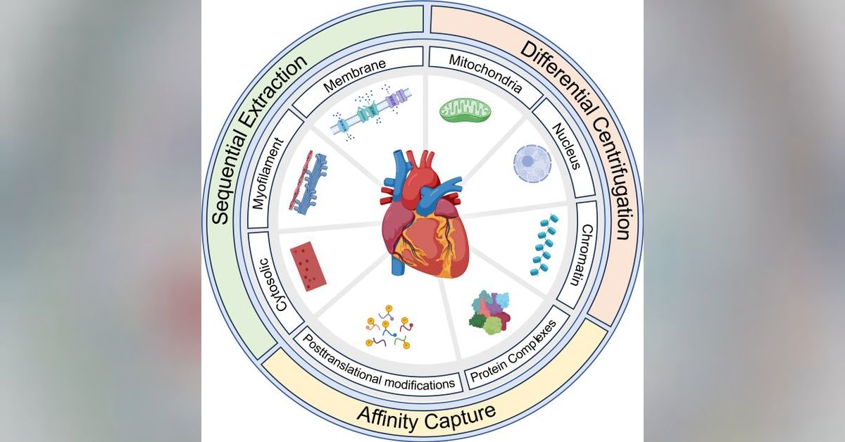 Proteomics of the Heart | Physiological Reviews Podcast