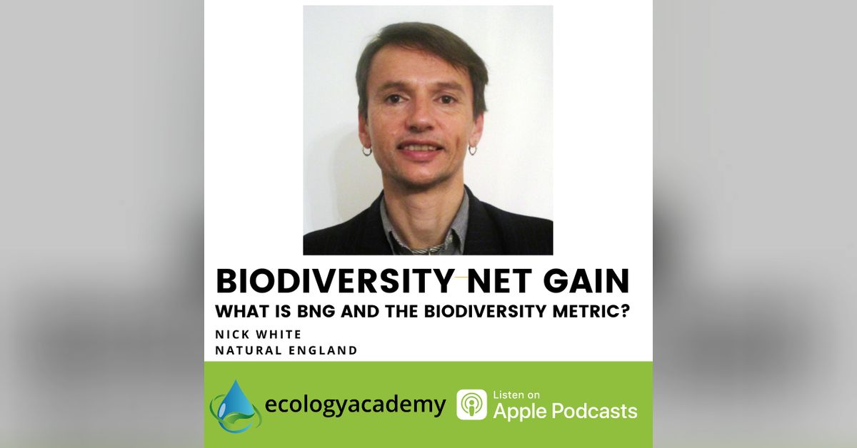 26 What Is Biodiversity Net Gain And The Biodiversity Metric