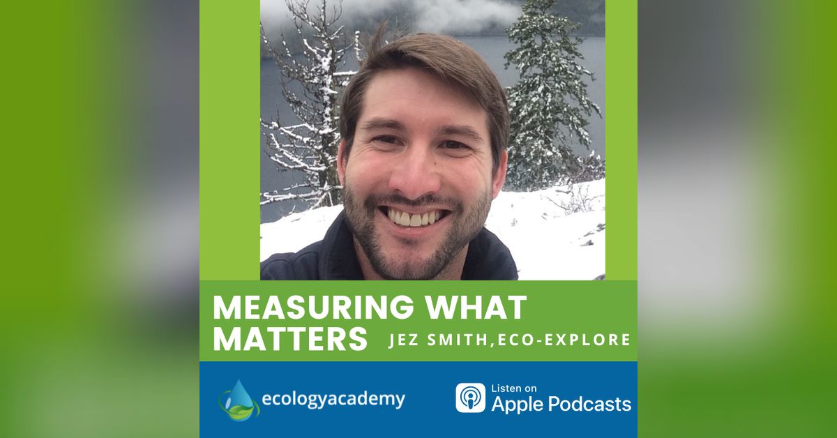 #32 - Measuring What Matters: an insight into data analysis with Jez ...