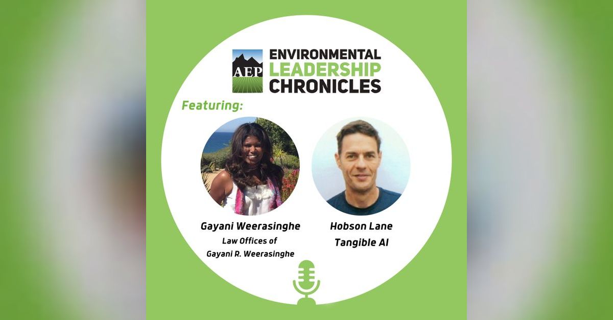 Integrating Generative AI in the Workplace, ft. Gayani R. Weerasinghe ...