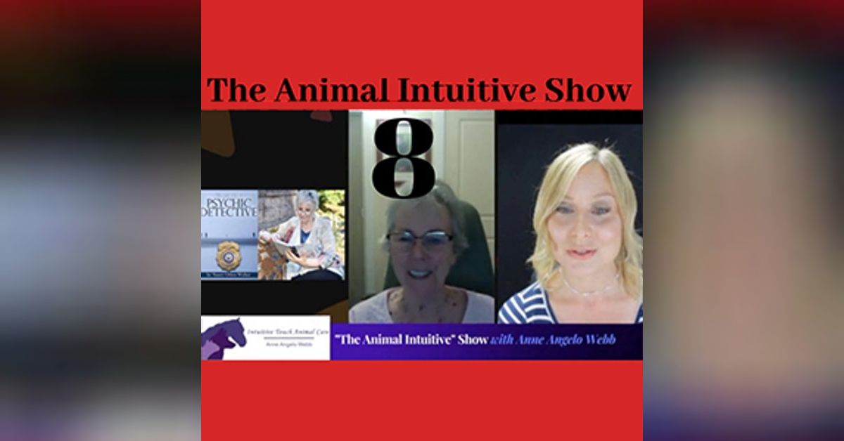 Ep 8 | The Life Of A Psychic Detective Author, Nancy Weber, RN | The ...