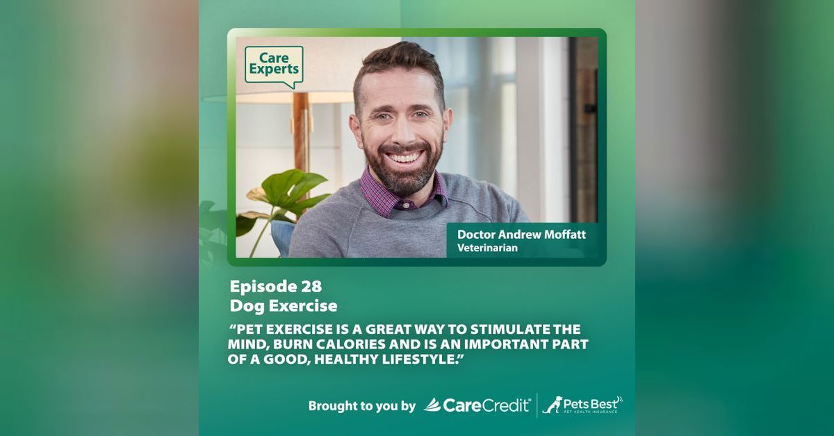 Dog Exercise - Dr. Andrew Moffatt | Care Experts with CareCredit