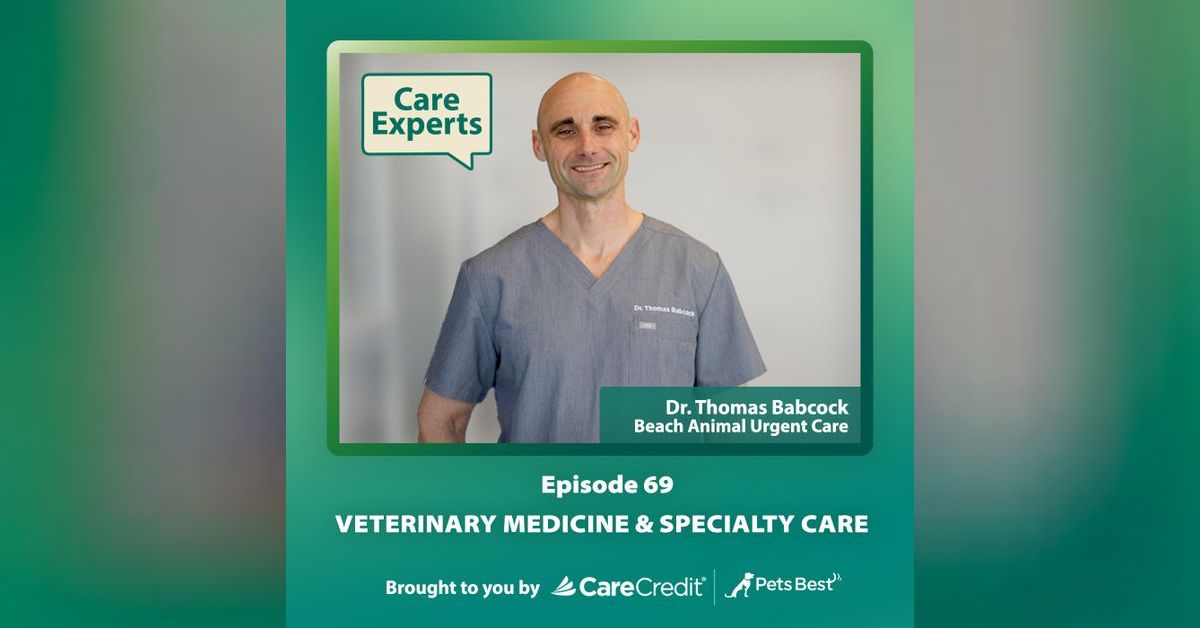 Veterinary Medicine & Specialty Care - Dr. Thomas Babcock | Care Experts with CareCredit