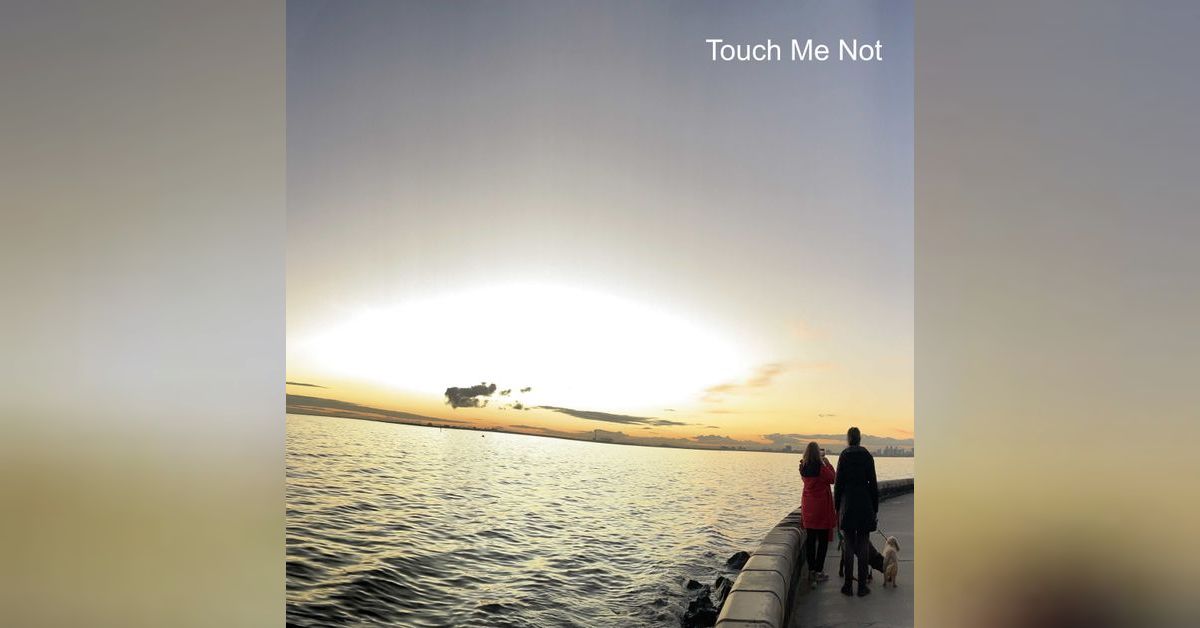 Touch Me Not | Sorting Life