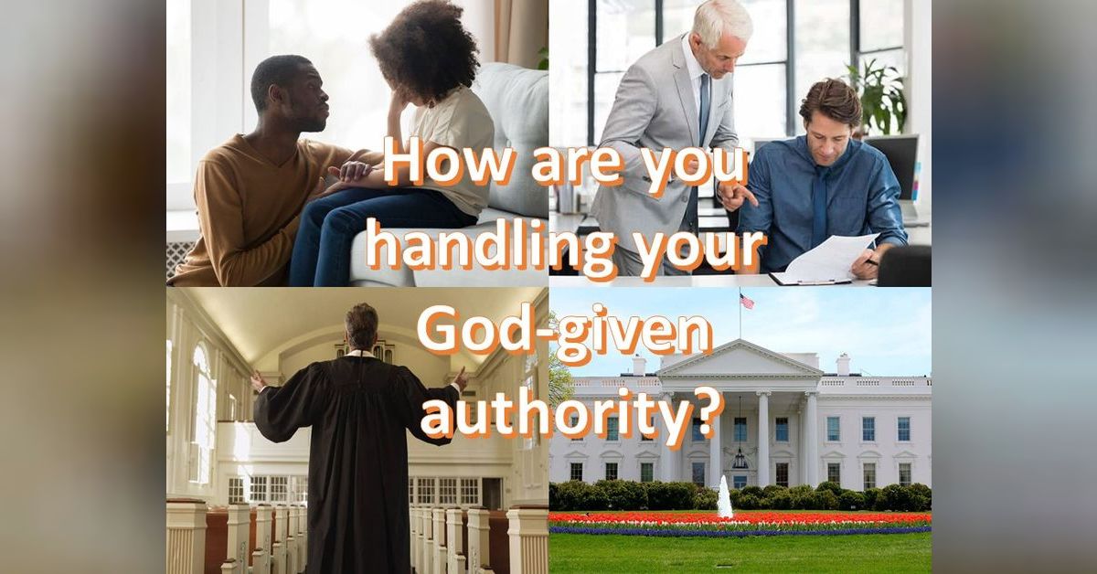 How Do You Use Your God-Given Authority? | Rev. Paul J. Miller