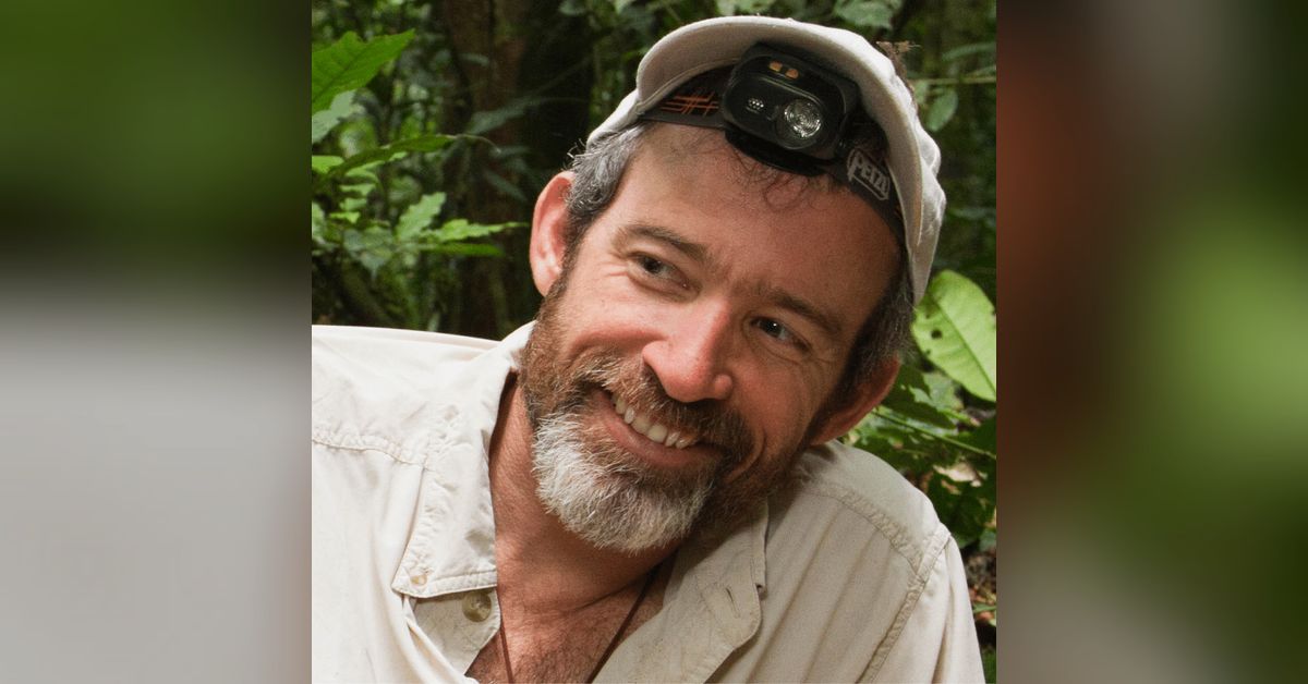 238 | Dr. Brian Fisher - Scientist Eat Bugs known as ’Ant Man ...